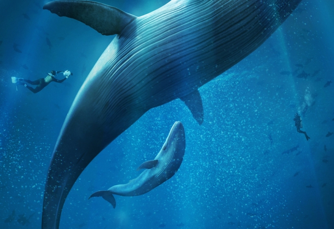 Discover Dreamscape's VR Adventures: Alien Zoo & More!