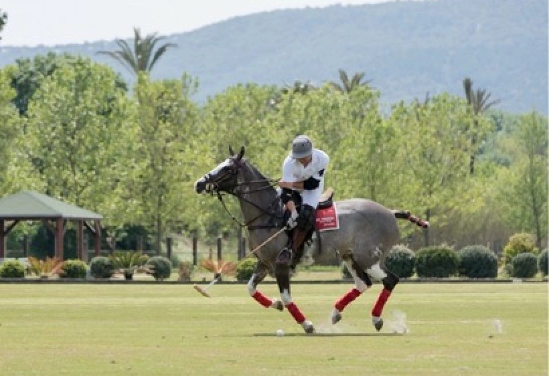 Polo: The Sport of Kings - History, Evolution & Modern Trends
