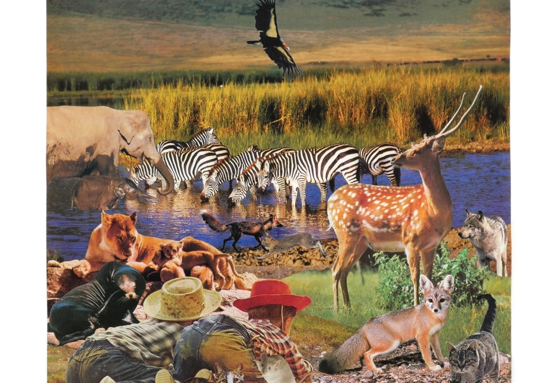 Jean Conner's Art Shines at San Jose Museum