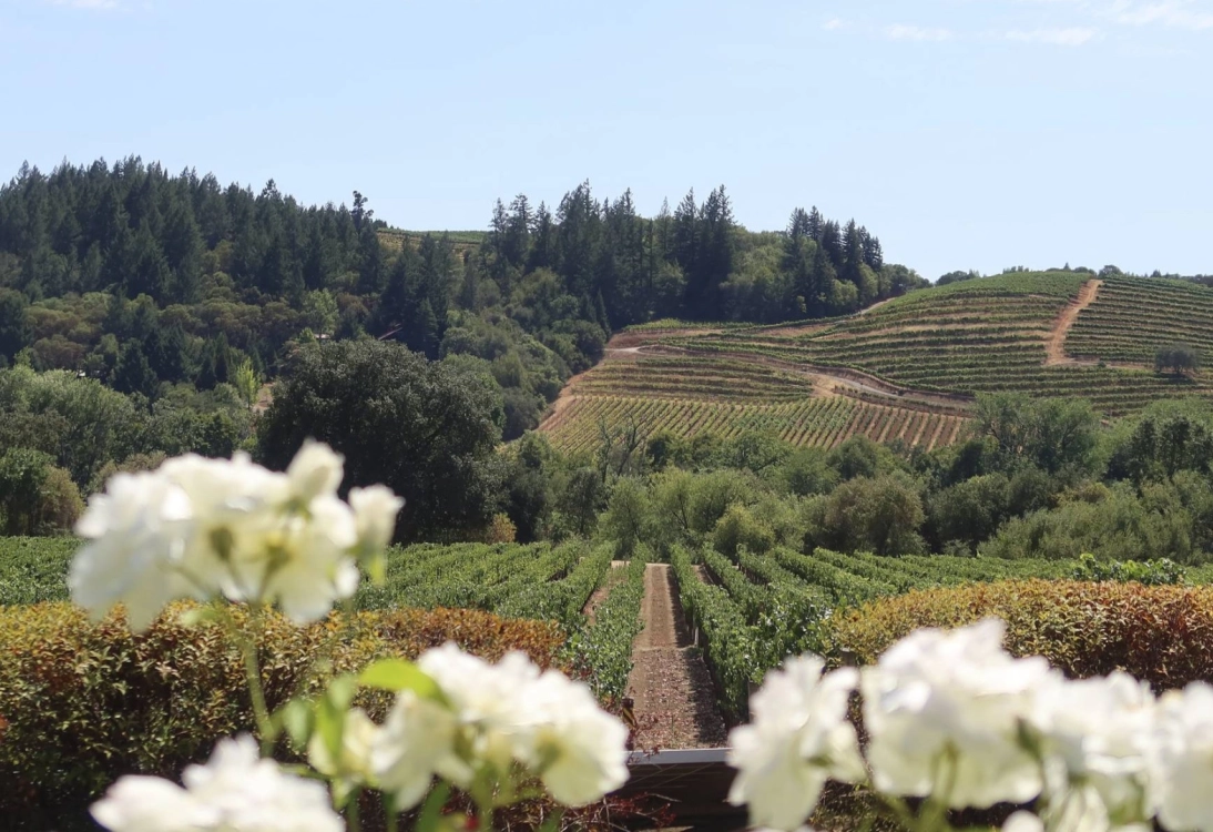 Discover Top 8 Luxurious Vineyard Hotels in the U.S.