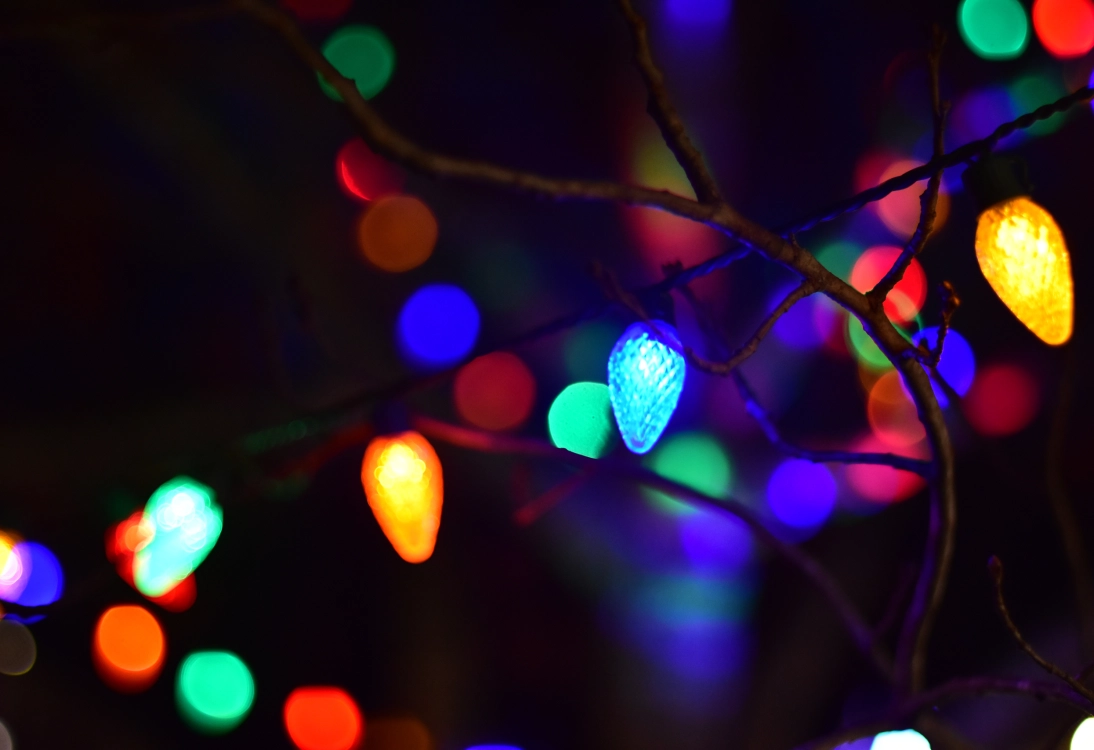 5 Best Holiday Lights to See in Nashville