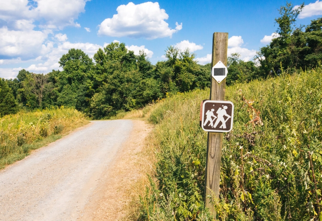 Atlanta's Best Hiking Trails: Scenic Nature Explore