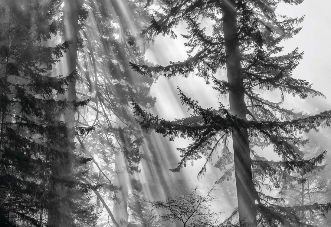Celebrating US National Parks: Andy Katz's Stunning Photography Book