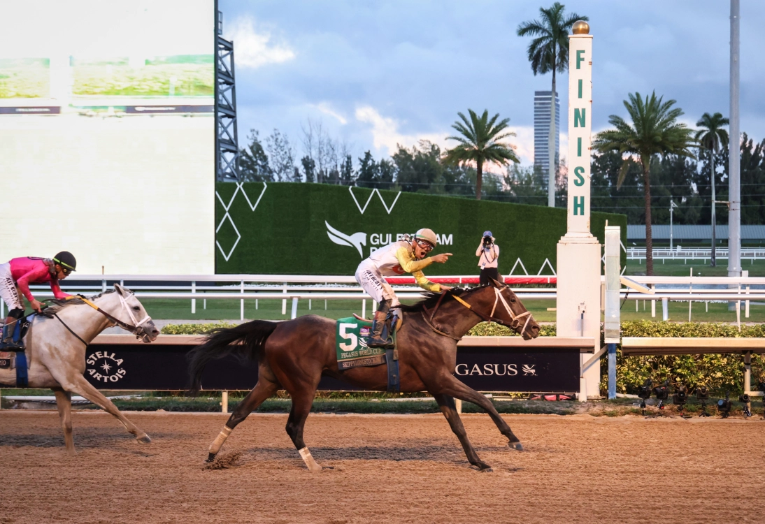 A Look Inside The 2026 Pegasus World Cup