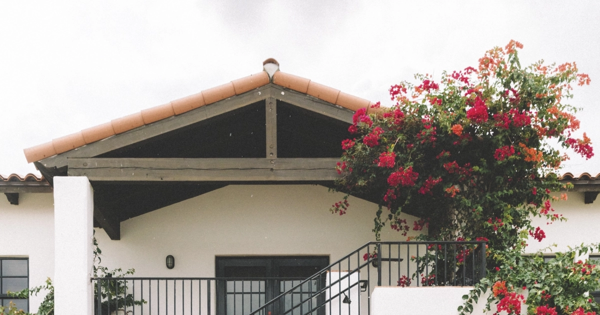 Nic Roldan: Polo Star's Journey from Palm Beach to Miami