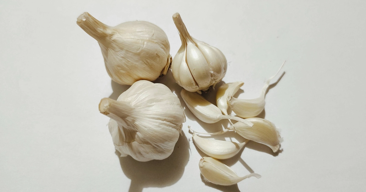 The Stinking Rose: A Garlic Lover’s Paradise in SF