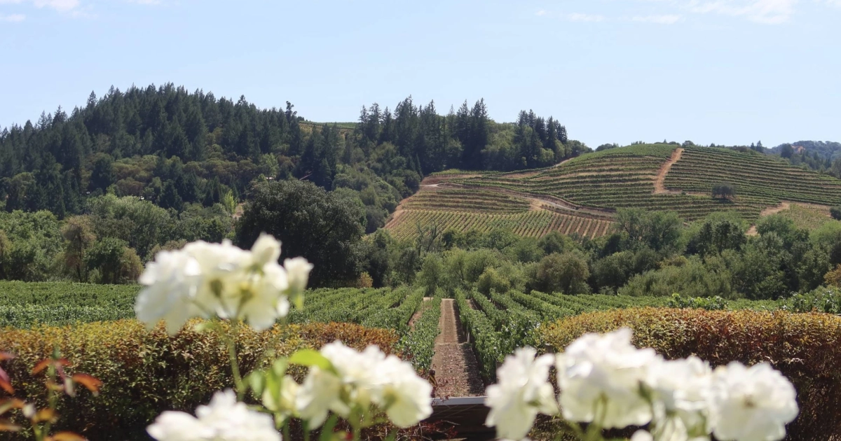 Discover Top 8 Luxurious Vineyard Hotels in the U.S.