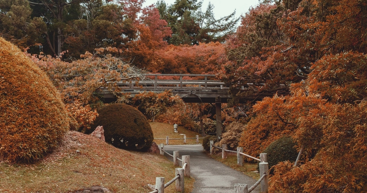 Bay Area's Best Fall Foliage Spots to Explore