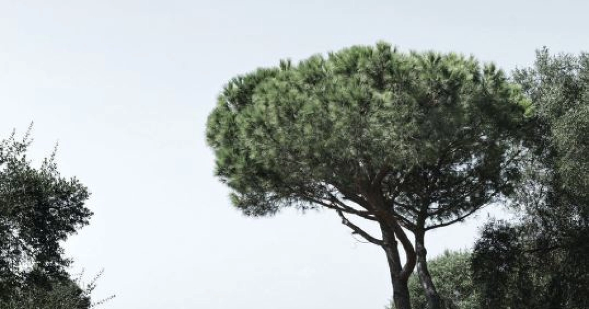 MolteniC Launches Timeless Outdoor Collection