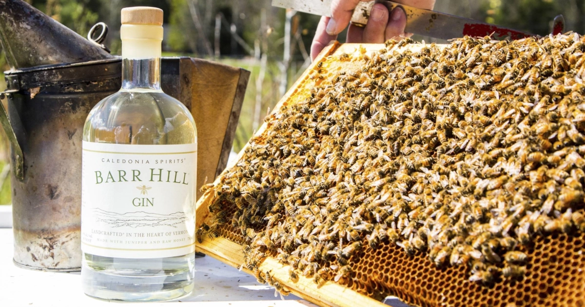 Join Bee's Knees Week: Sip Cocktails, Save the Bees!