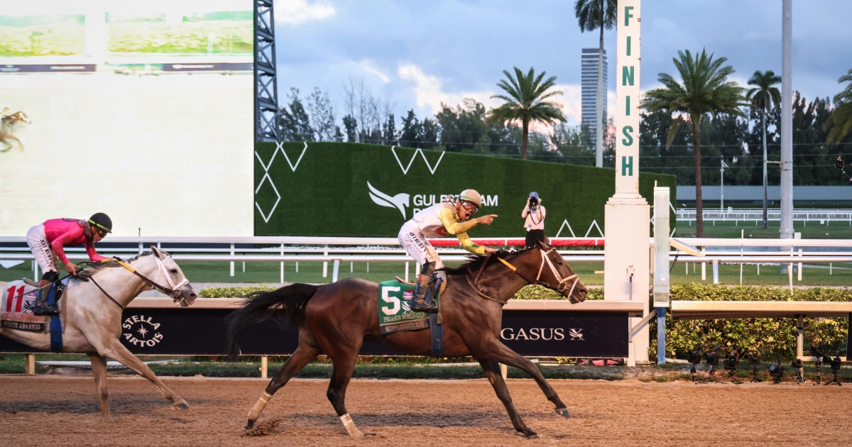 A Look Inside The 2026 Pegasus World Cup