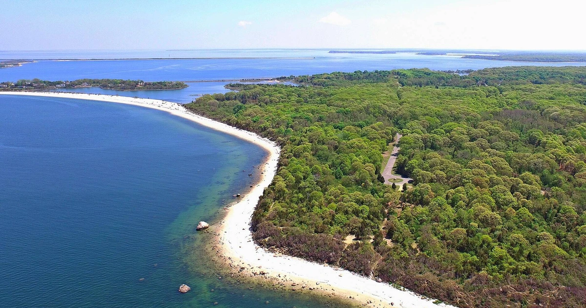 William Raveis: Hamptons Market Growth & Strategy Insights