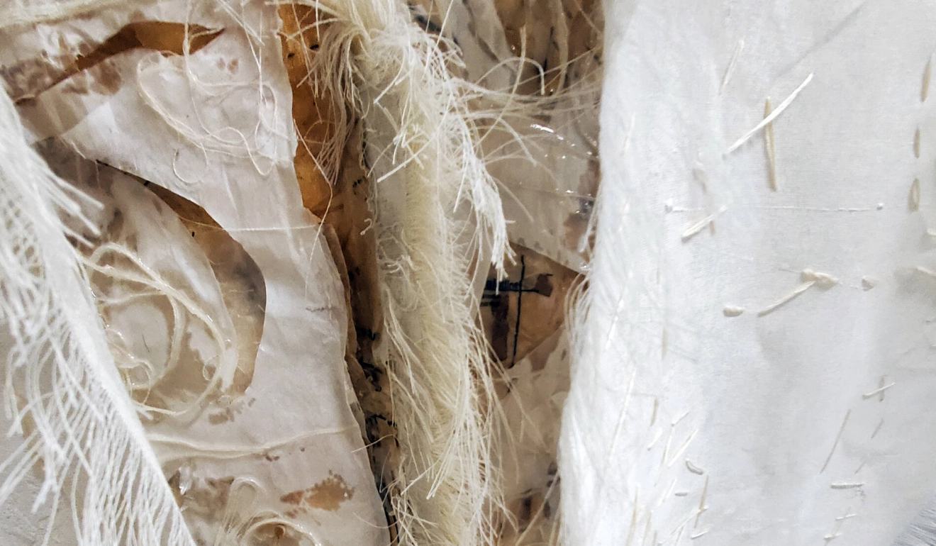 Jupiter Artist Lisa MacNamara Unveils New Vulnerability-Inspired Exhibition