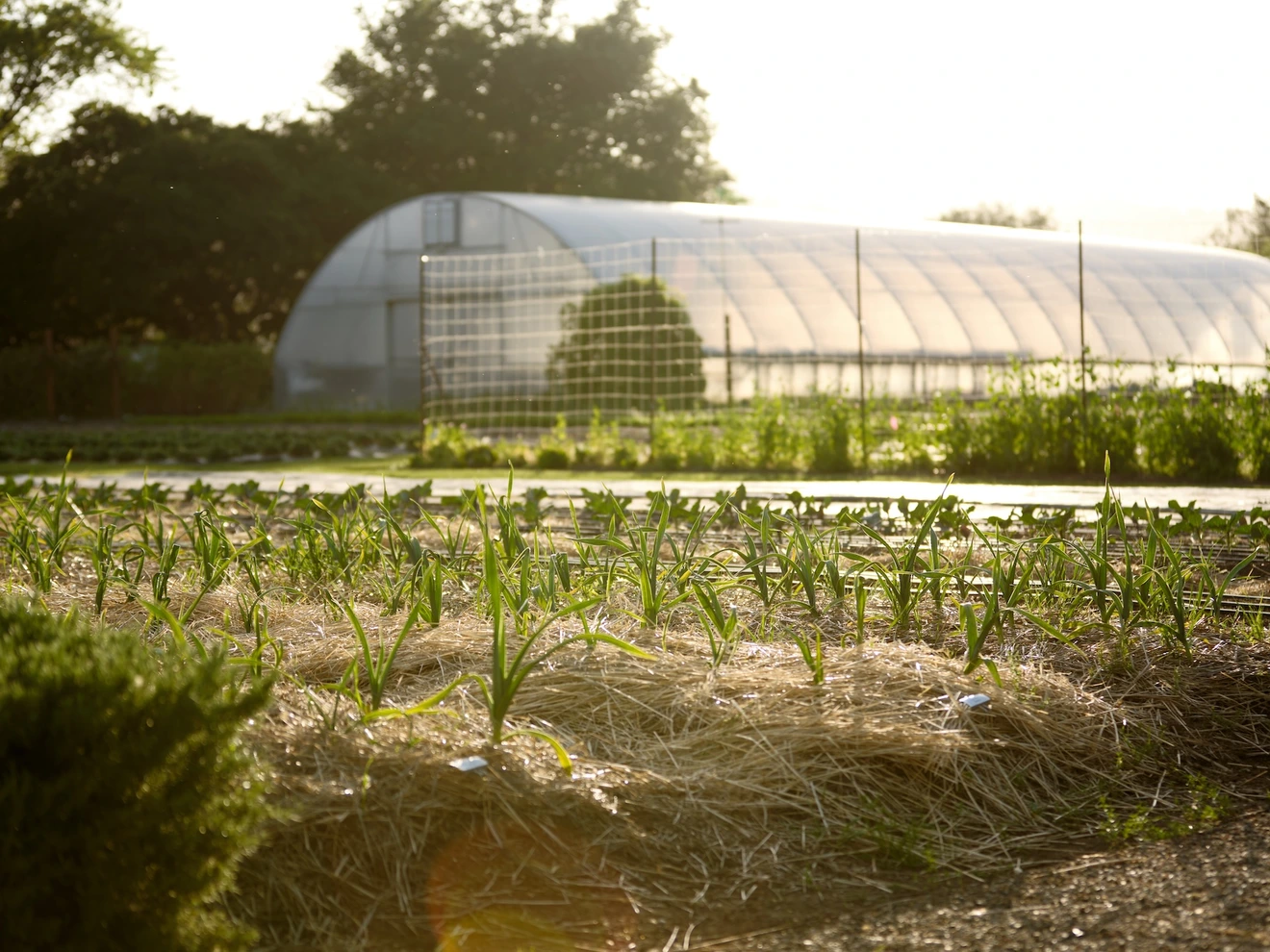 The Ultimate Guide to What's New in Wine Country