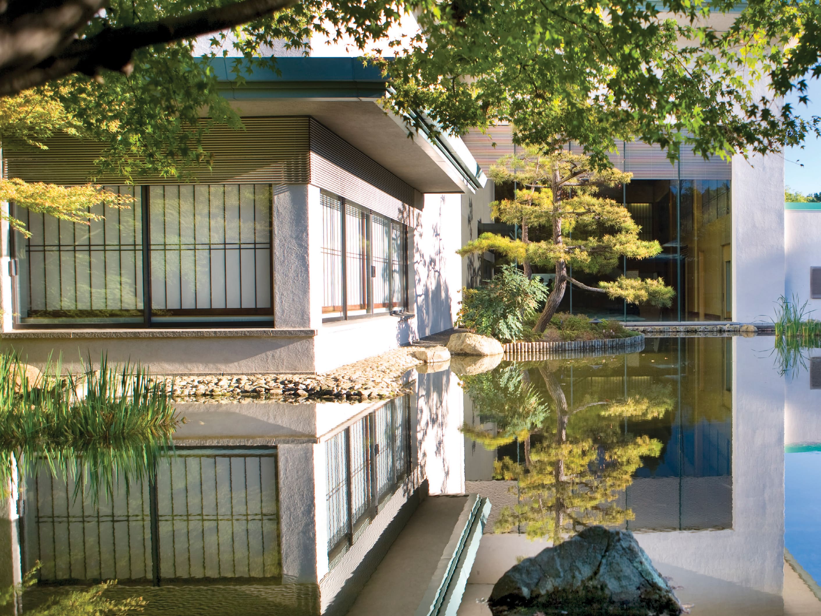 Japanese Ambassador's Residence: A Cherry Blossom Haven