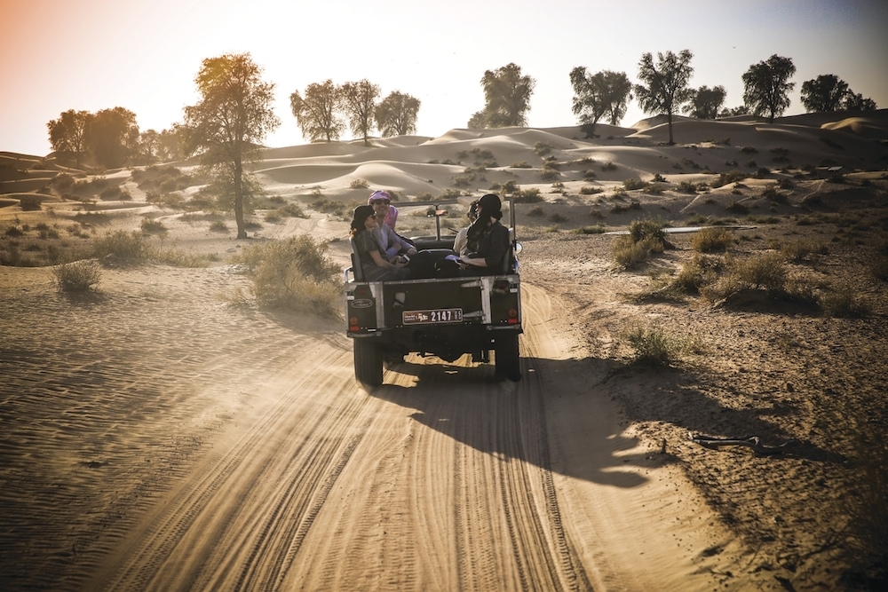 Purposeful Travel: Explore Unique Experiences in the Bay Area