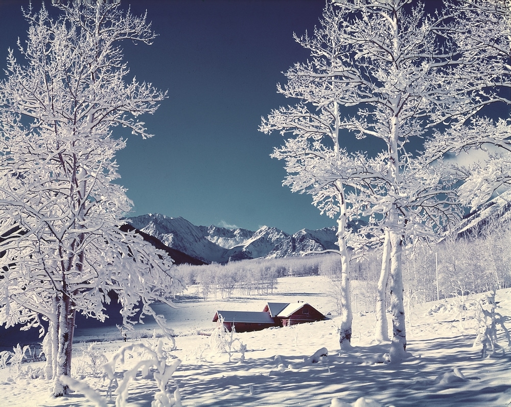 Toklat Gallery Celebrates 70th Anniversary with Legacy