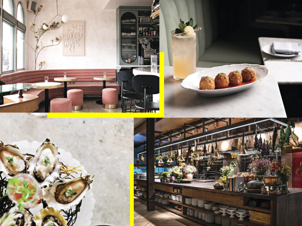 Decadent Dining Guide: America's Top Luxurious Restaurants