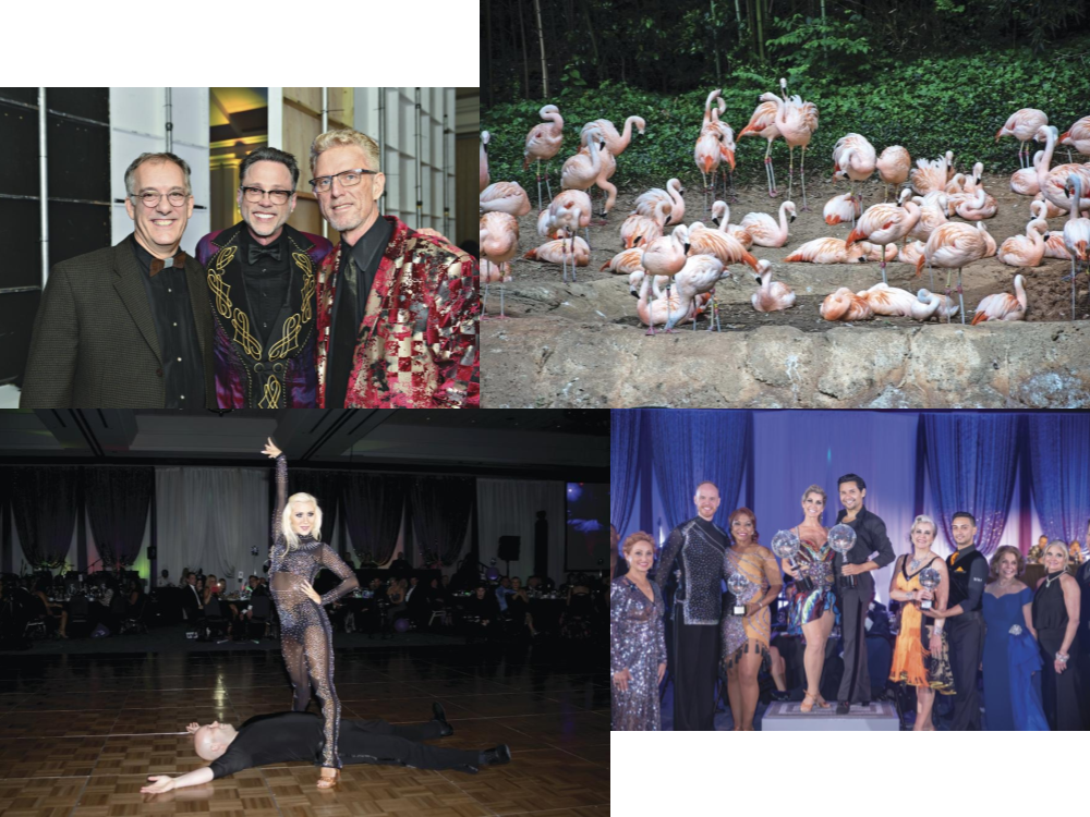Flamingos Shine at Zoo Atlanta's Beastly Feast Gala