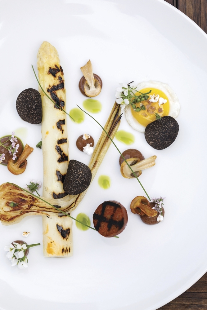 Explore Baltimore: Top Spots to Stay, Dine, and Unwind