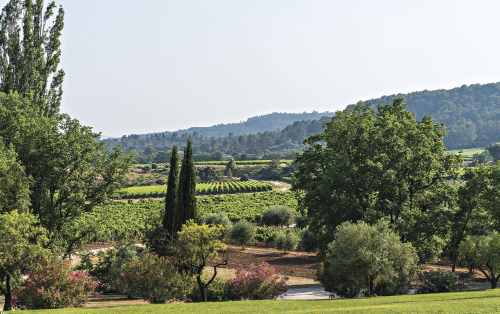 Whispering Angel: The Rise of Provence's Iconic Rosé