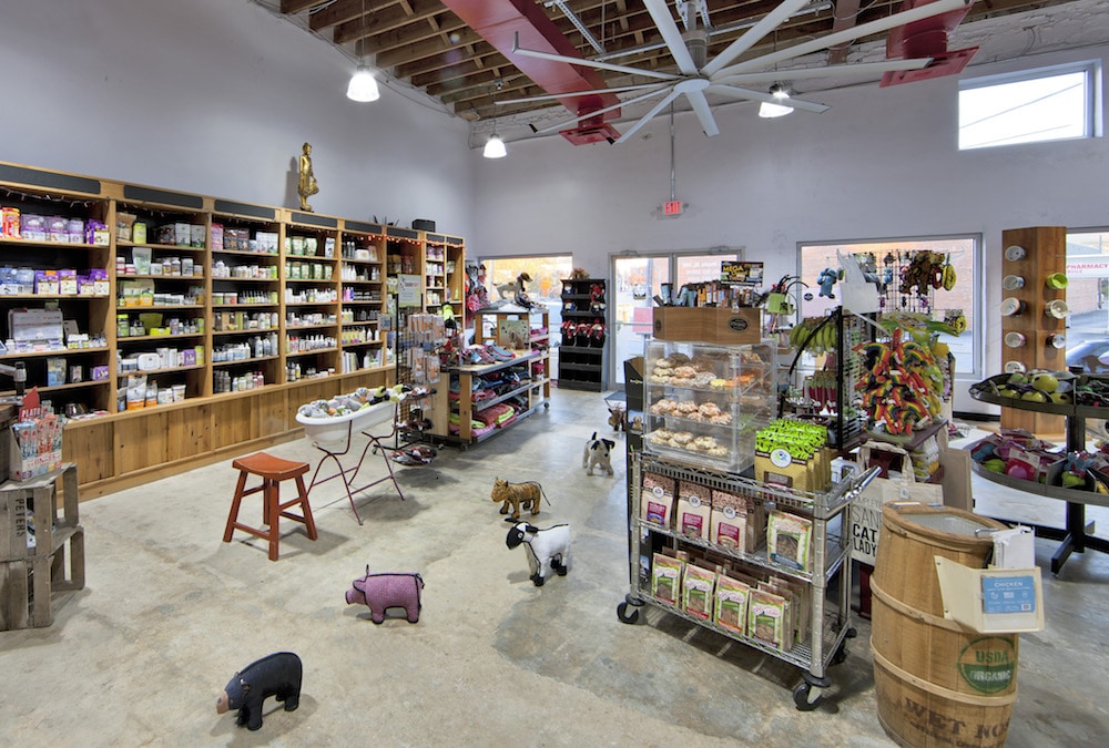 Luxurious Pet Boutiques in the City for Your Furry Friends