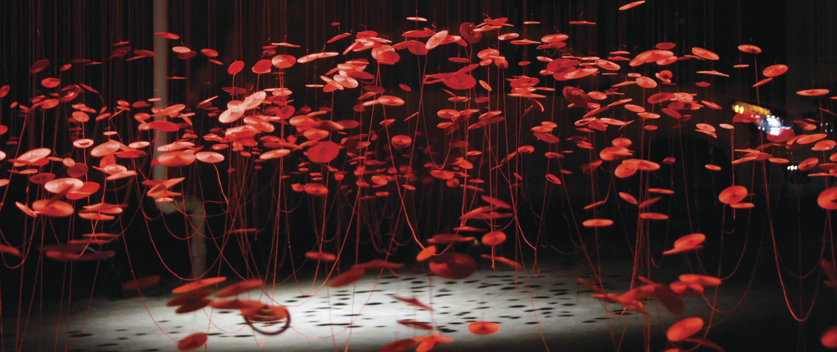 Beili Liu's Red Thread Art Exhibit at Crow Museum