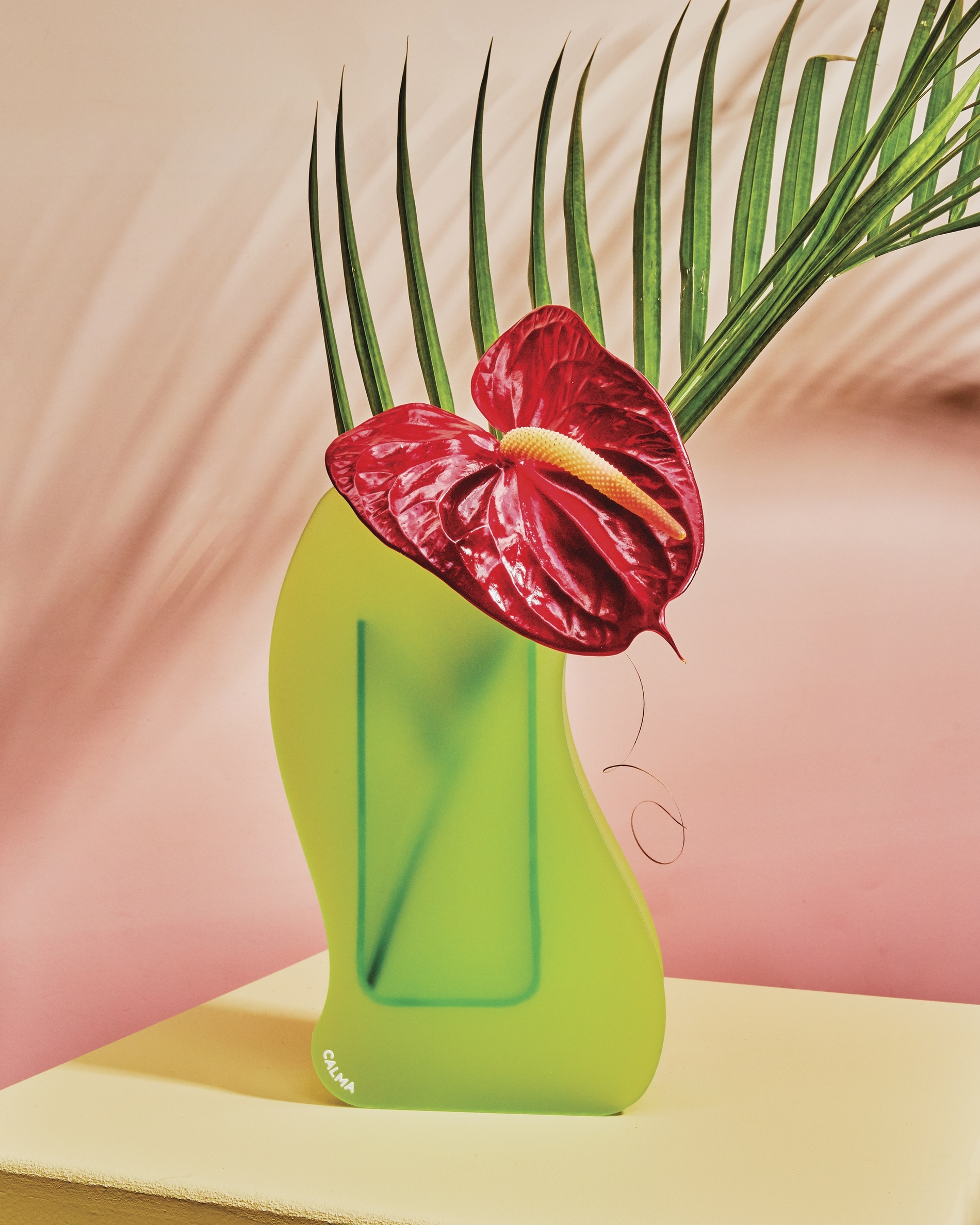 Join Calma's Virtual Floral Workshop This Friday!