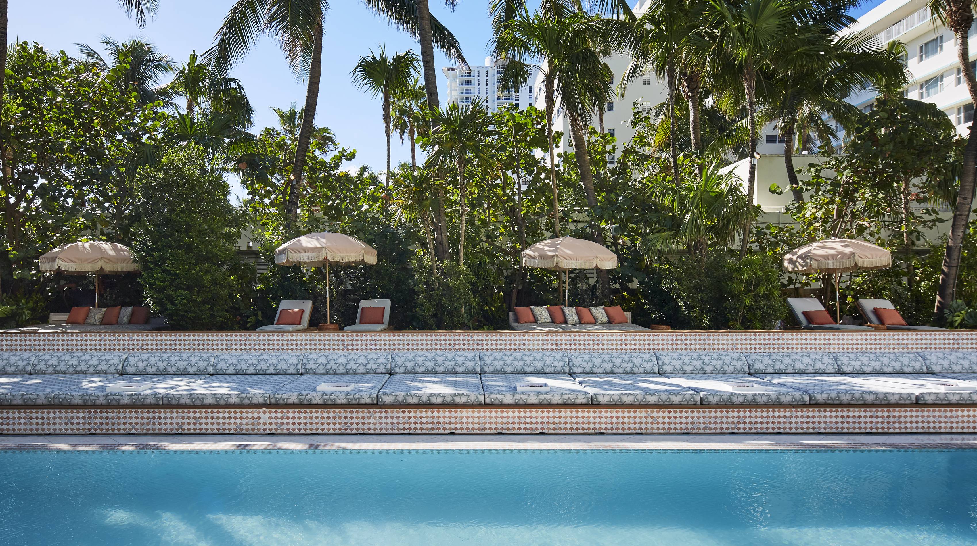 Step Up Your Zoom Game with Stunning Miami Backgrounds