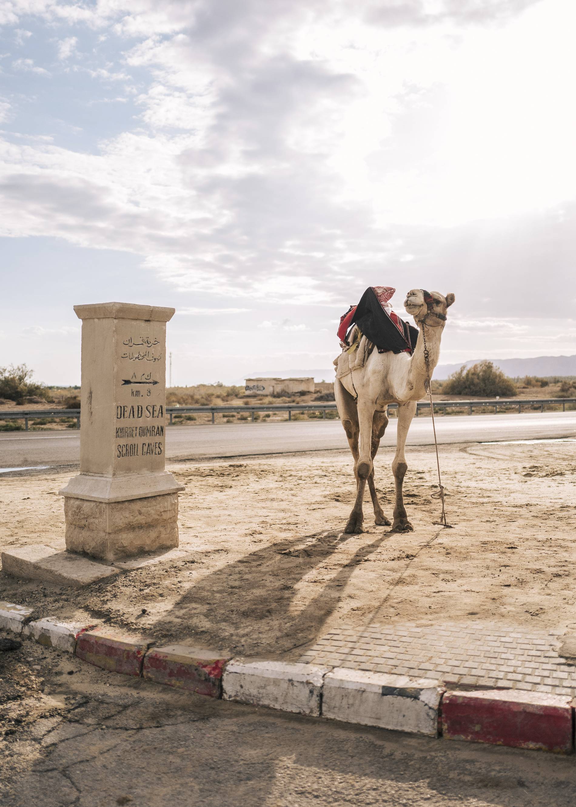 Exploring Israel Through Marsha Bernstein's Lens
