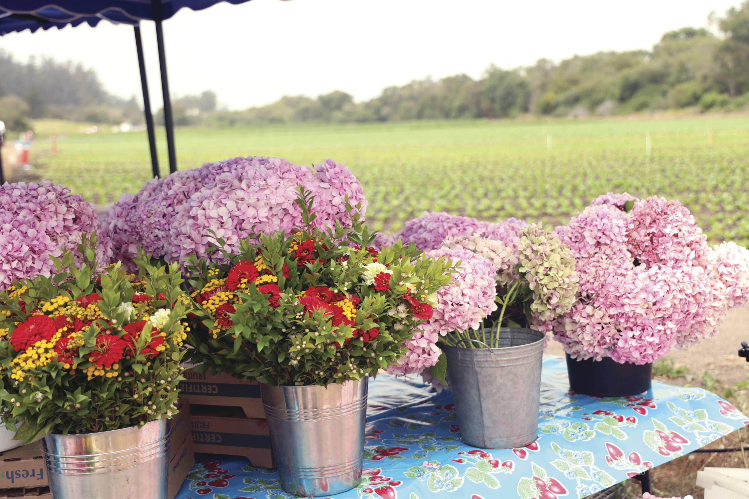 Exhale Parent: Essential Tips for Family Growth & Care