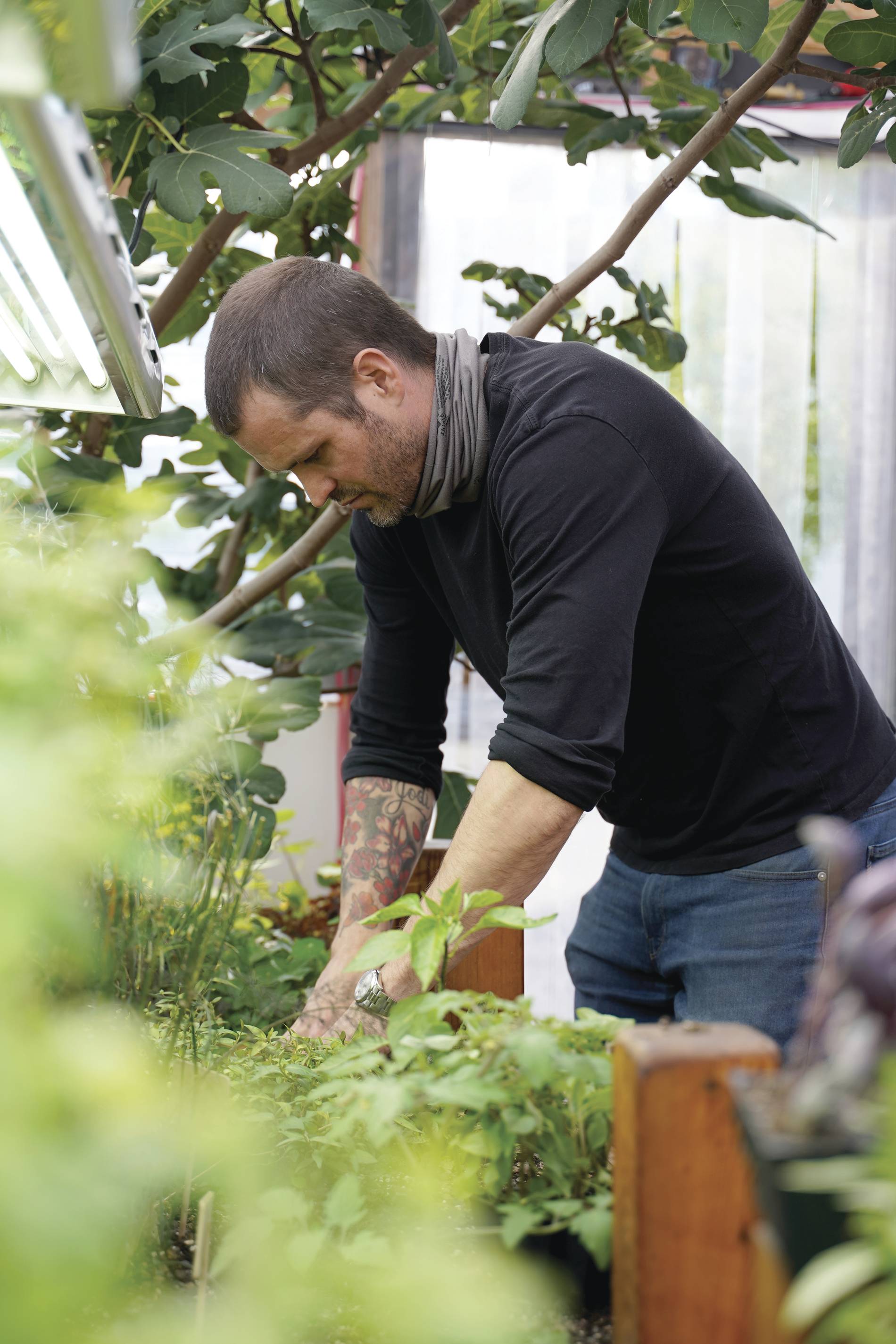 Eden Chef Devon Quinn: Green Living & Culinary Innovation