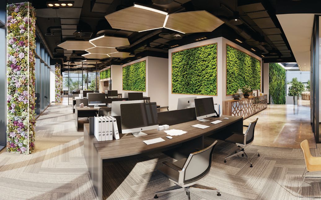 Reimagining Office Spaces: Mark Calvano's Vision for the Future