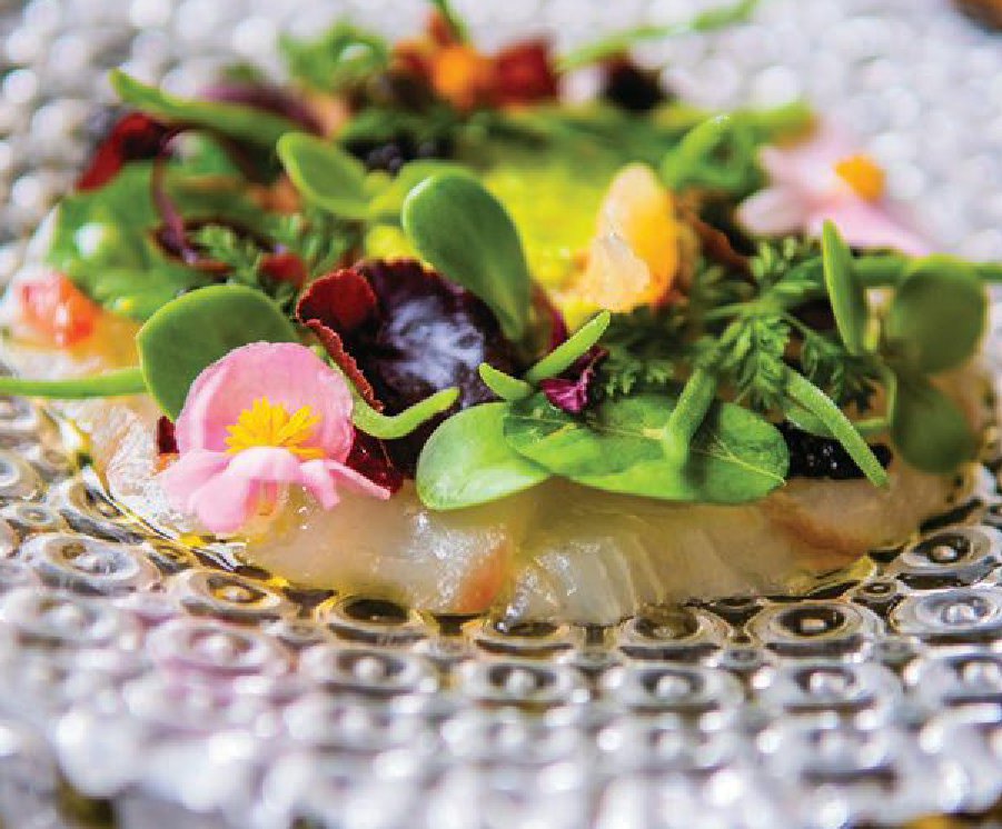 Experience Power Lunches at Top DC Restaurants