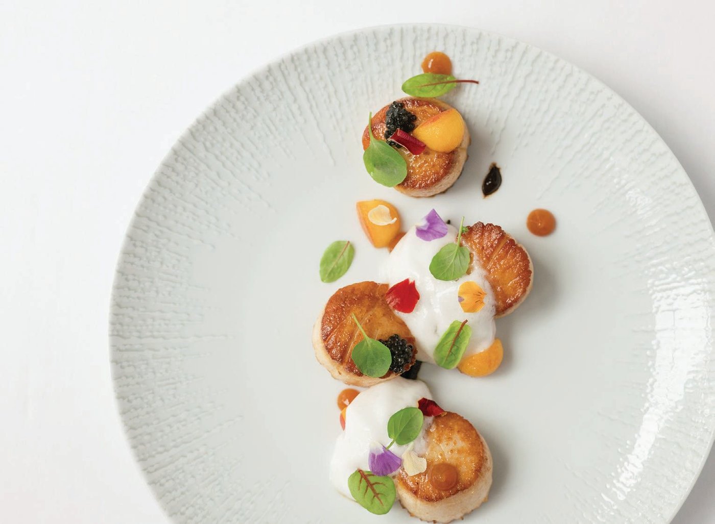 Top 9 Restaurants in Cape Cod: Dining After the Beach