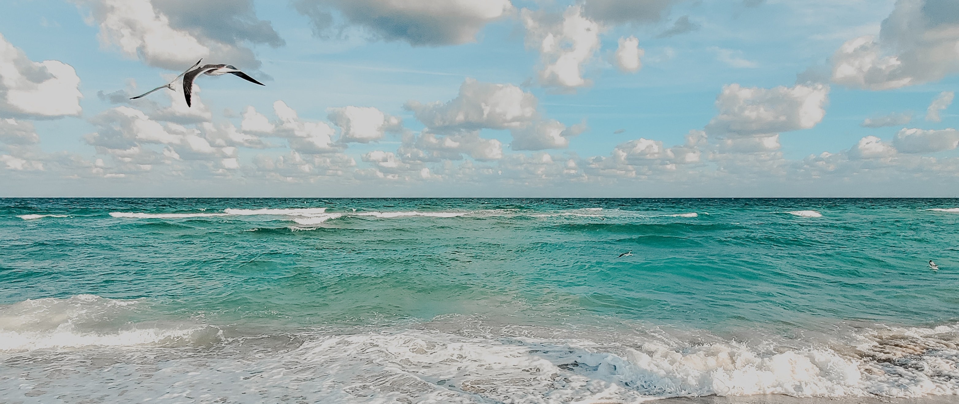 Secret Beaches in Miami: Hidden Gems for Relaxation