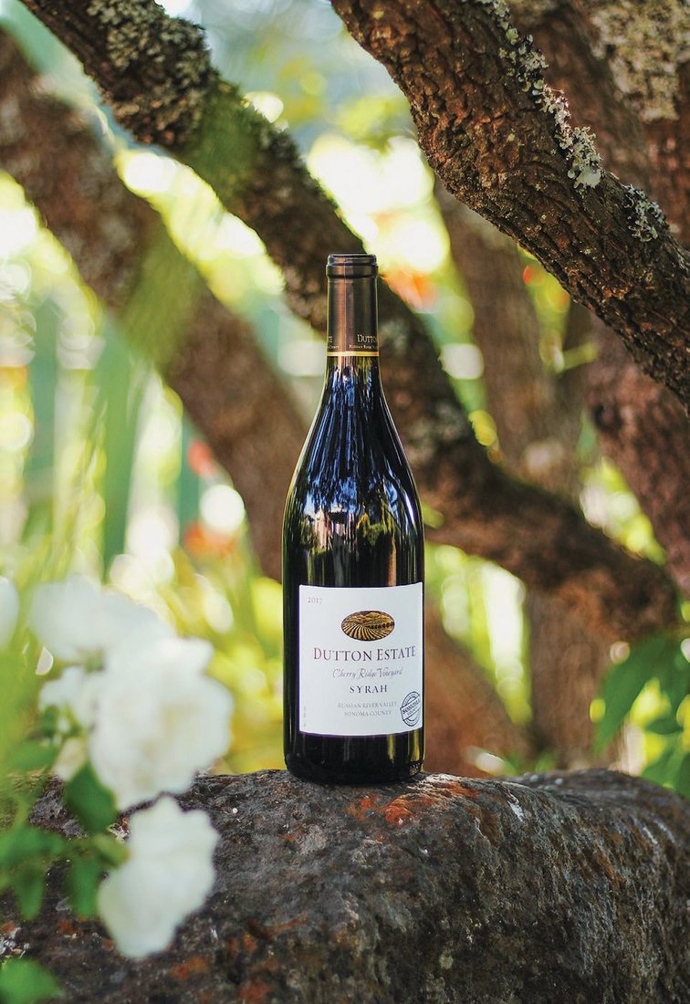 Sonoma's Fall Bliss: 48-Hour Wine, Dine, and Stay Guide