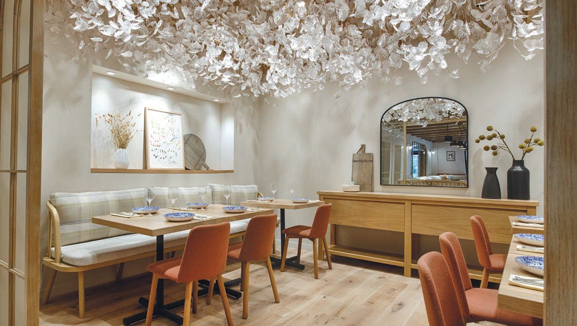 Serena Pastificio: Authentic Italian Dining Experience