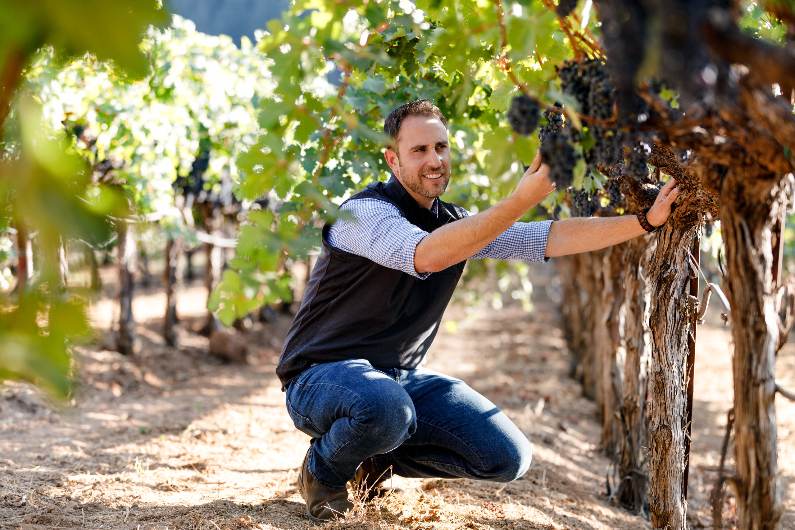 Top American Wineries: Expert Selections for Wine Lovers