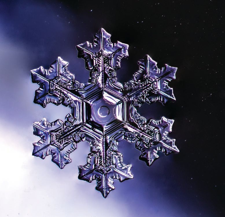 Zooming In on Snowflakes: Capturing Exquisite Patterns