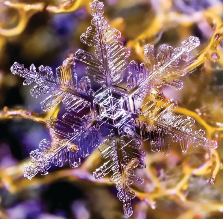 Zooming In on Snowflakes: Capturing Exquisite Patterns