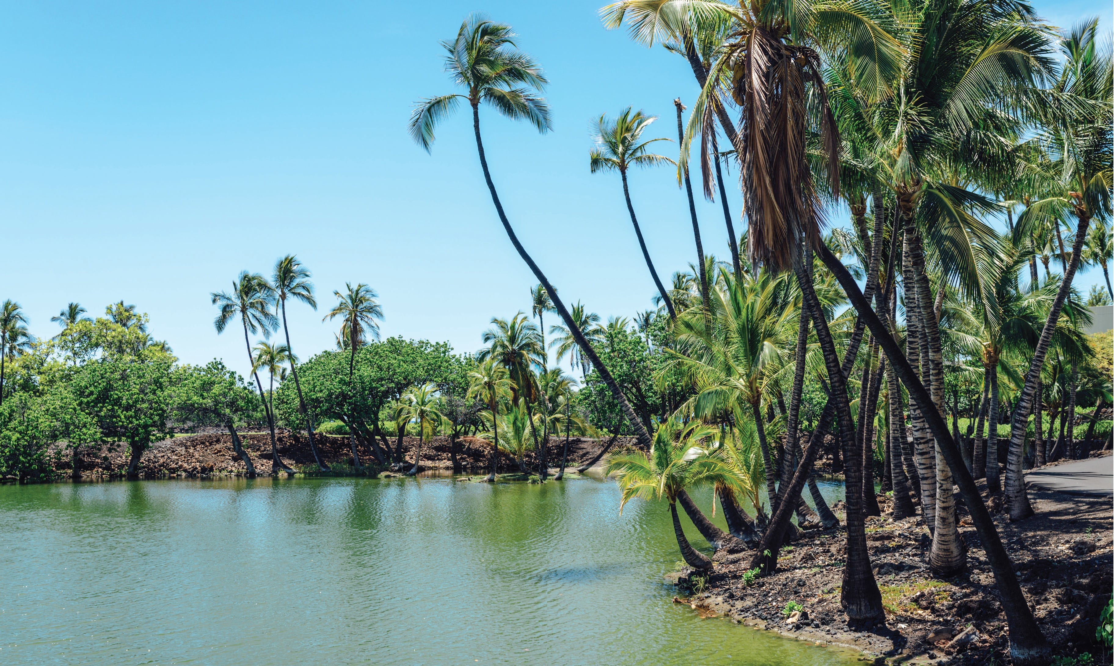 Discover Hawaii's Hidden Gems: Beaches & Historic Parks