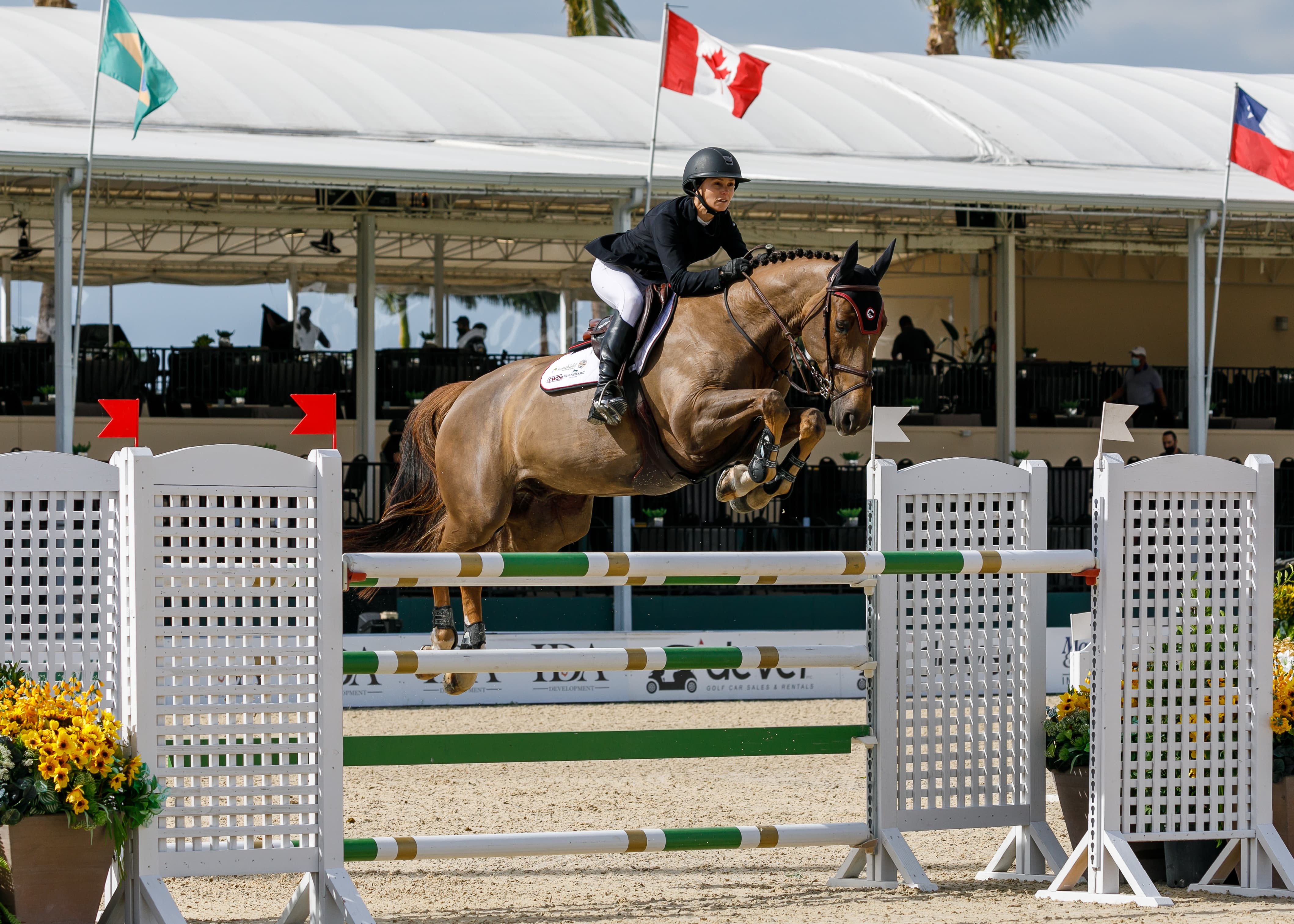 Equestrian Inspiration: Train Like Olympians Bloomberg & Farrington