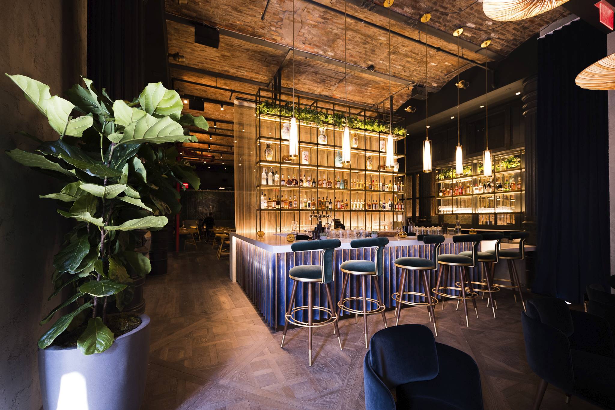 Kyu: Miami's Best Asian-Inspired Restaurant Opens in NYC