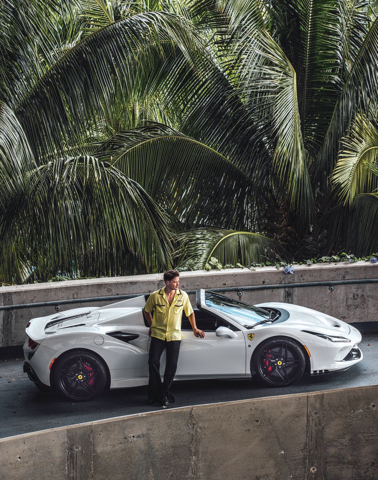 Kygo's Palm Tree Crew: Upcoming Performances & Ambitions