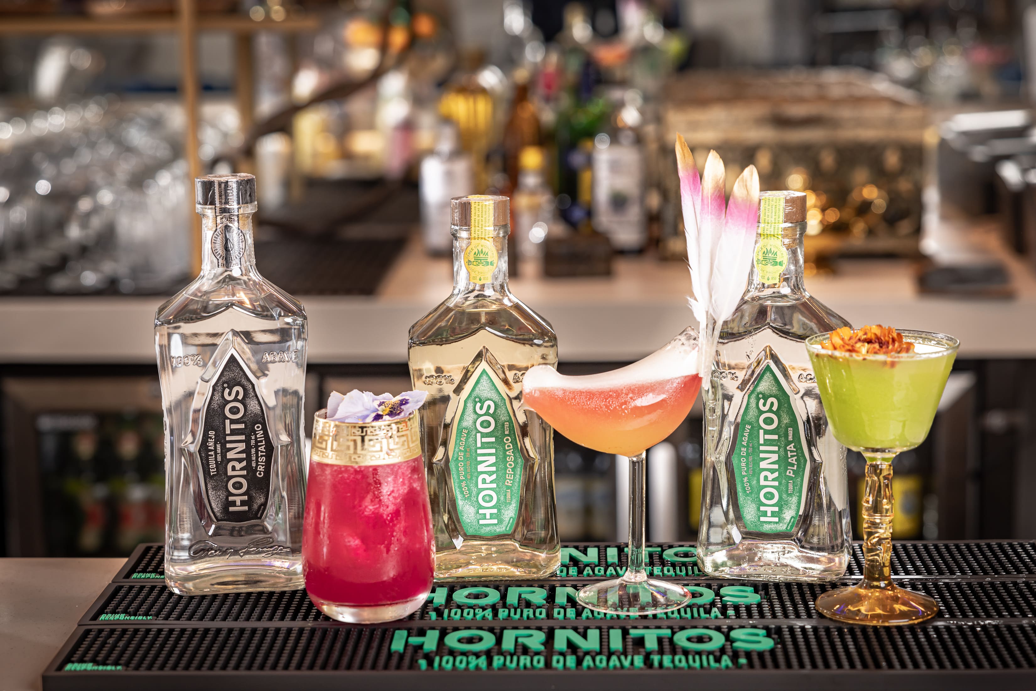 Experience The Trove: Stylish Cocktails & Themed Nights