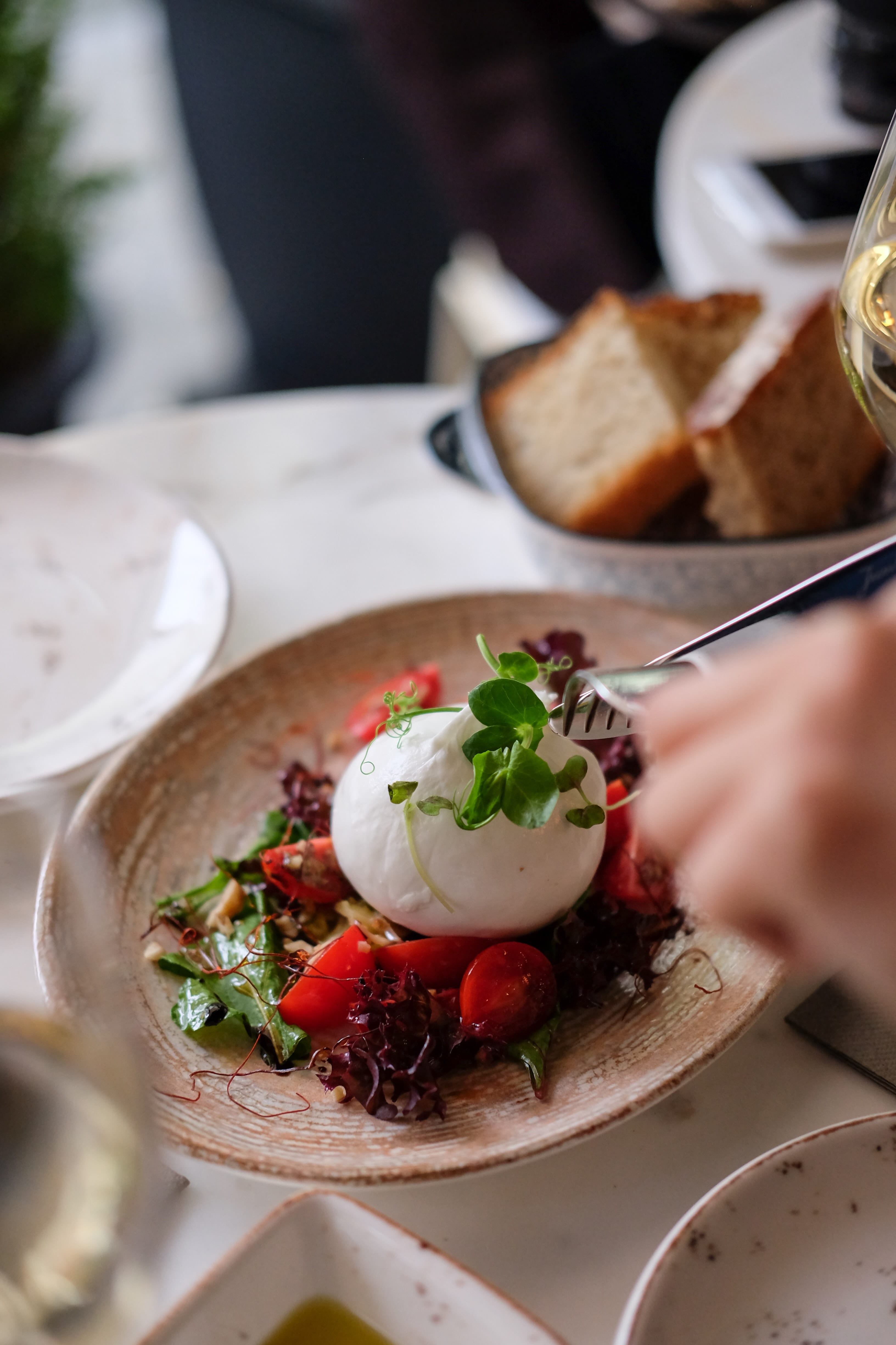Discover NYC's Best Burrata Dishes