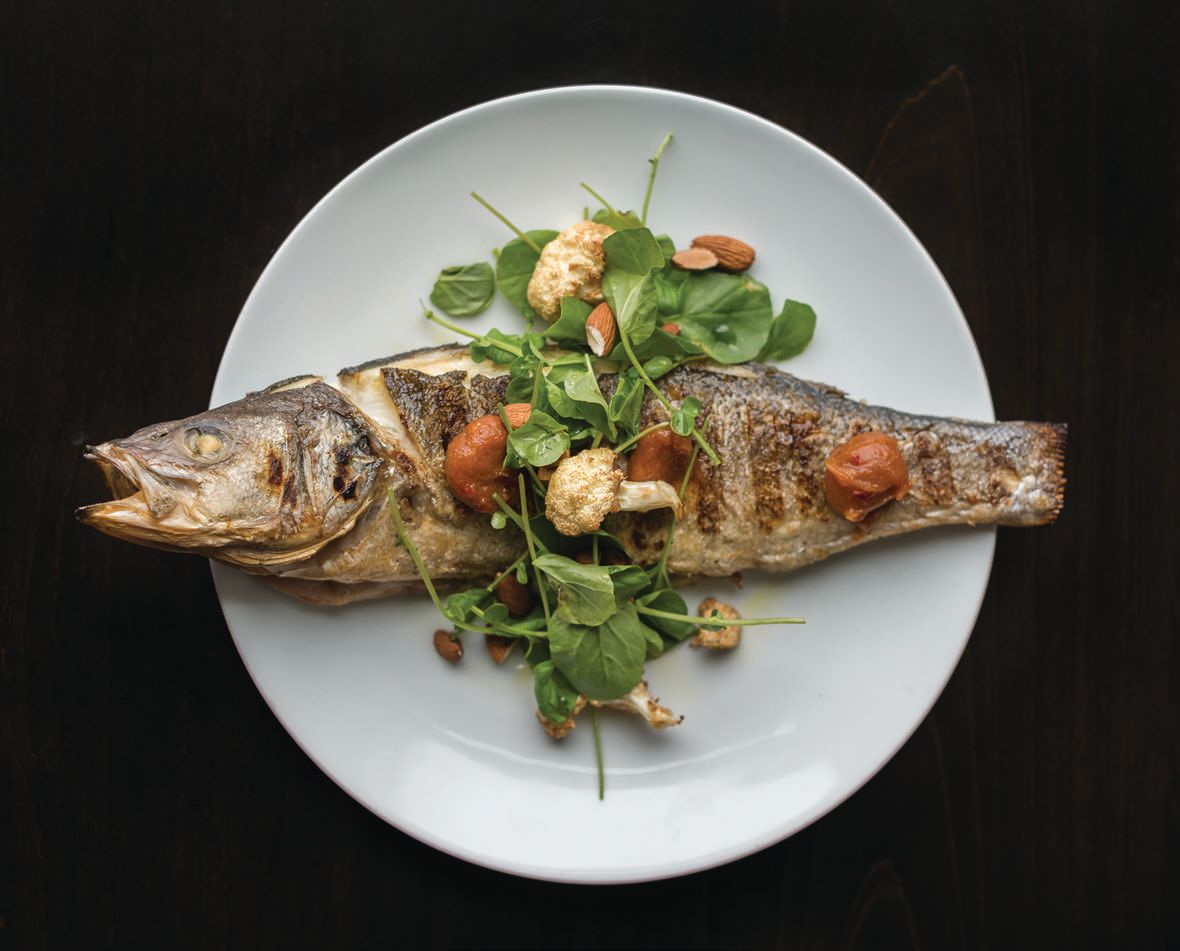 Next-Gen Chefs Transforming Colorado's Culinary Scene