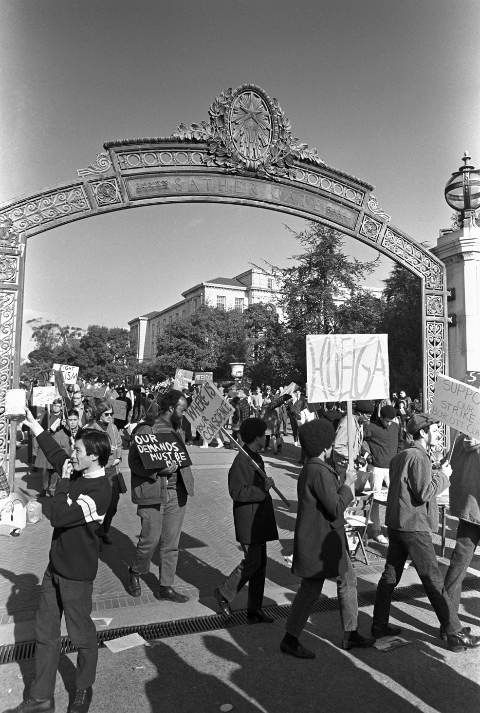 History of Berkeley's 1960s Student Movement
