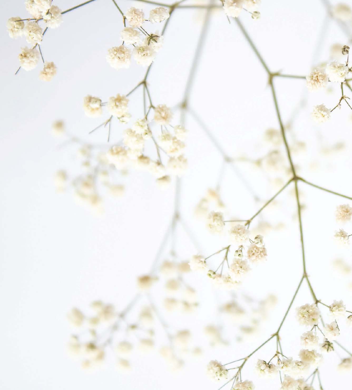 Discover Grover Rad: Bold, Artistic & Timeless L.A. Fashion